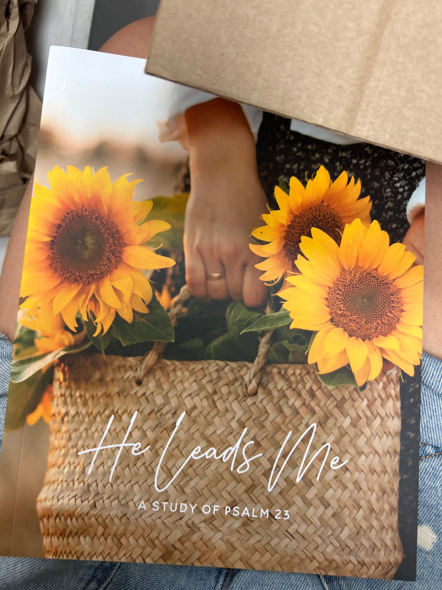 He Leads Me | A Study of Psalm 23 – Simply Kate